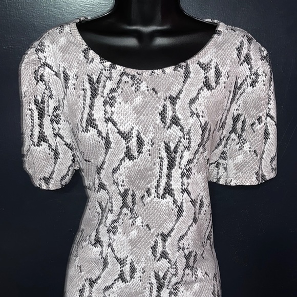 Express | Tops | Nwot Snakeskin Print Express Blouse Size Xl | Poshmark